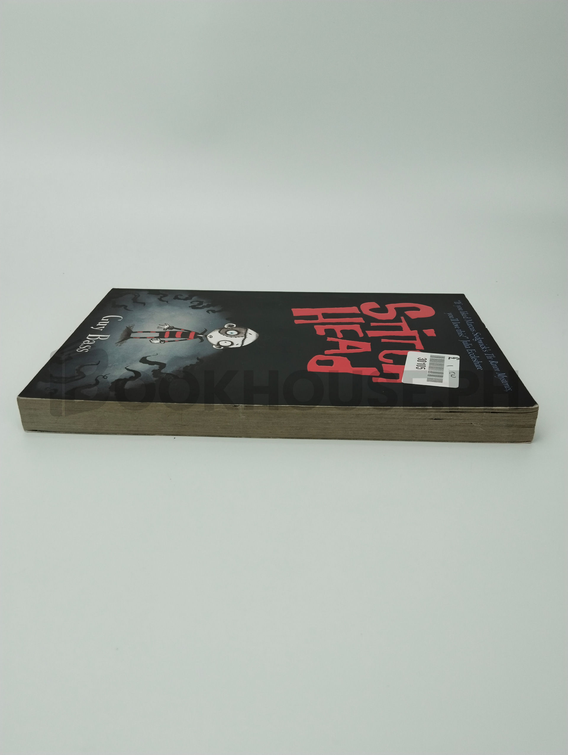 Stitch Head by Guy Bass - Bookhouse.PH